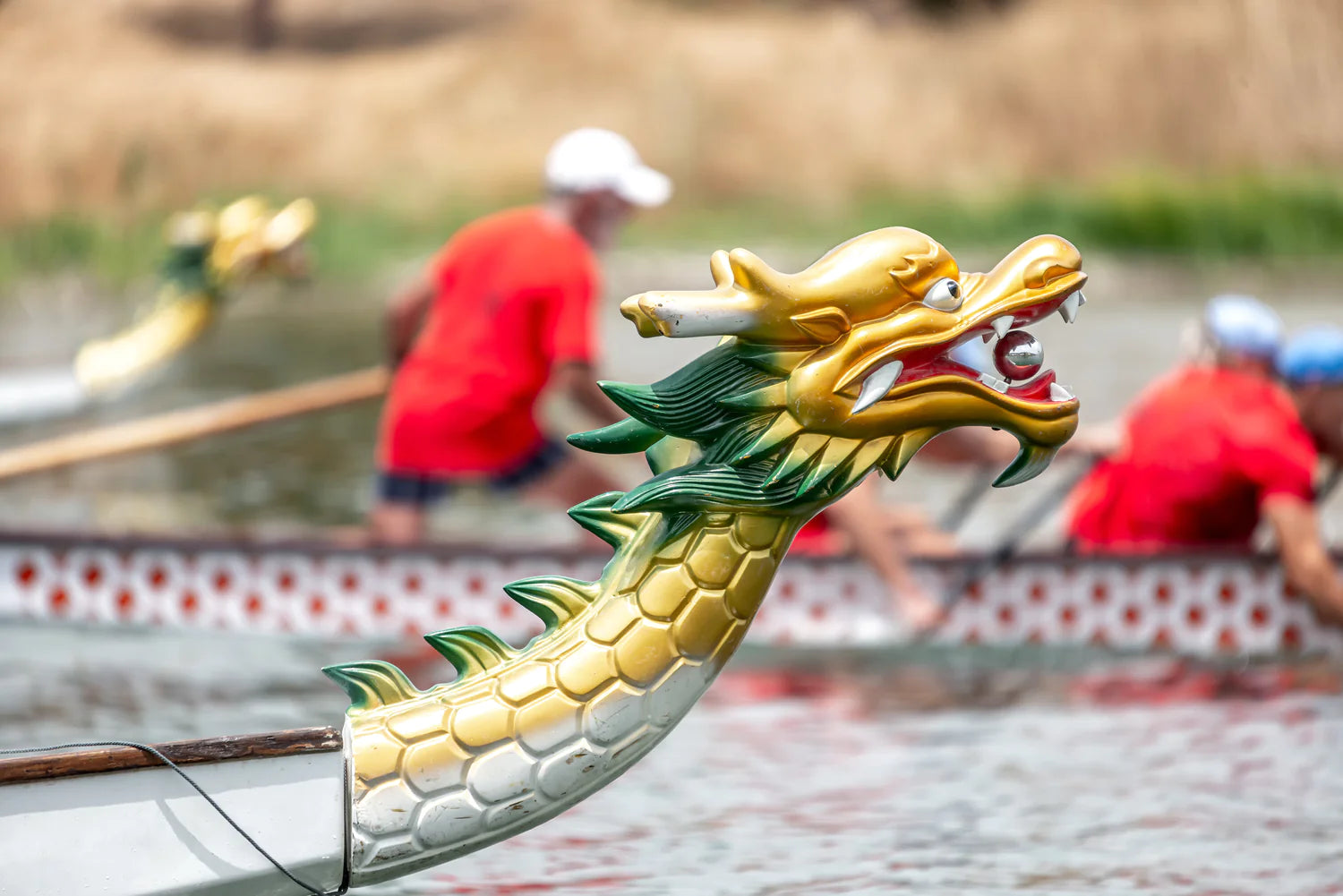 Dragon Boats – Rae Sport Pvt Ltd